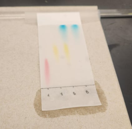 Chromatography in AP Chem