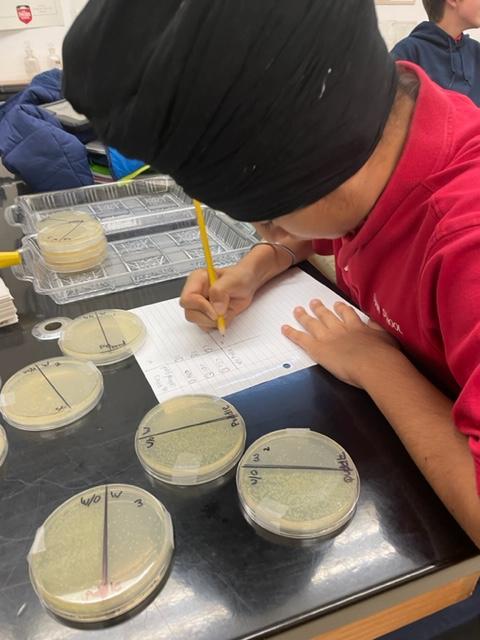 PJAS Students Experiment with Bacterial Growth