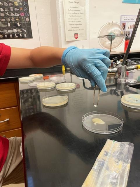 PJAS Students Experiment with Bacterial Growth