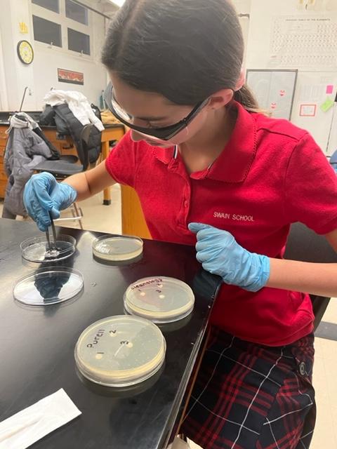 PJAS Students Experiment with Bacterial Growth