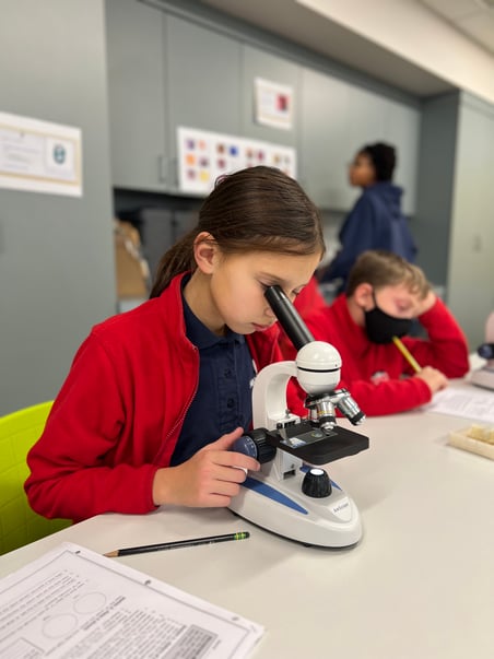 Microscope Madness in Sixth Grade Science