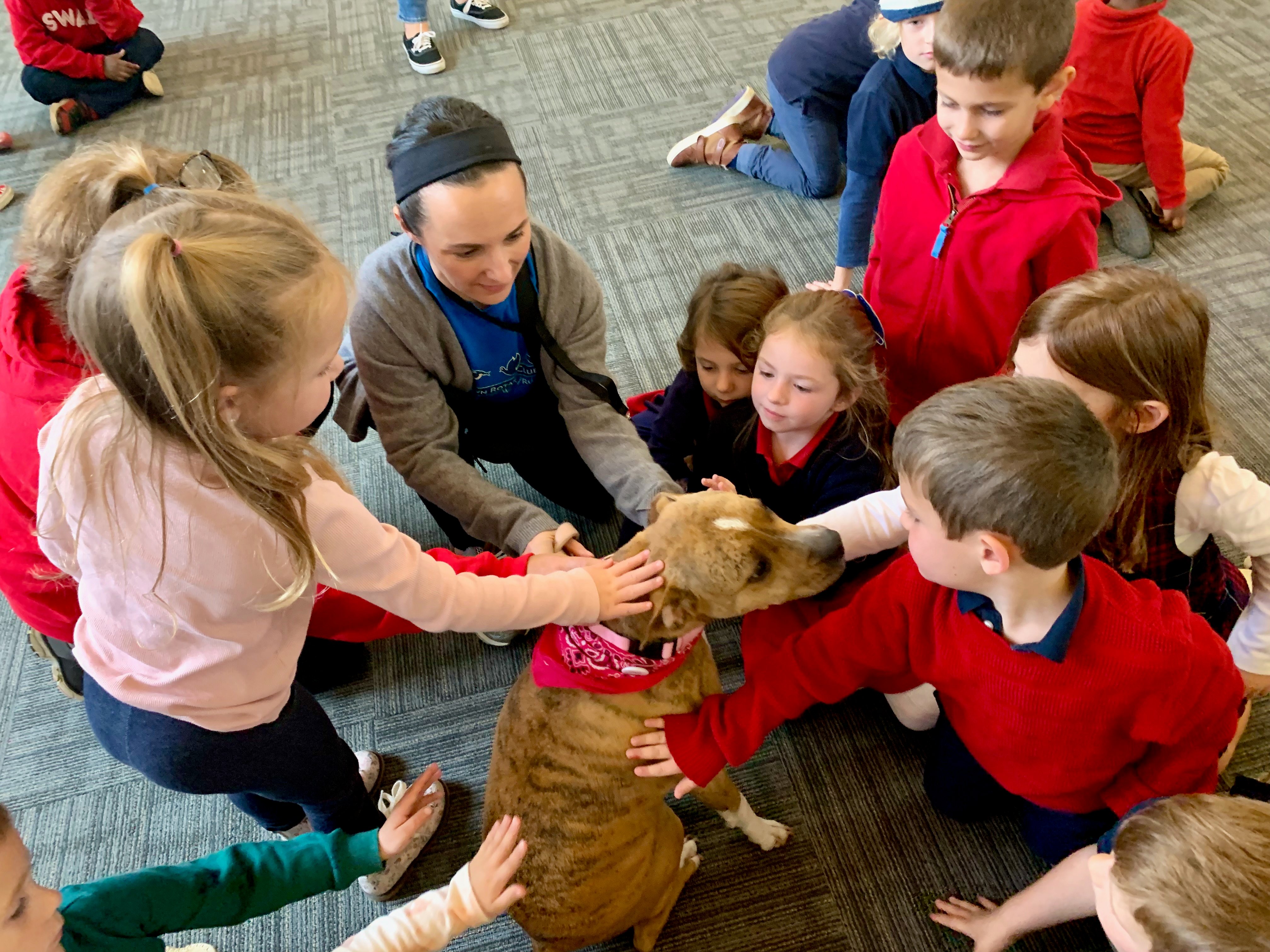 Therapy Dogs Visit Beginning School Students During Town Meeting