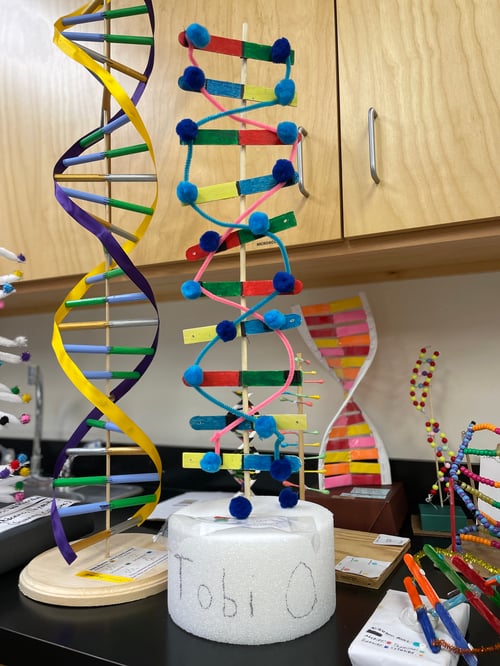 Downtown Life Science Students Extract DNA