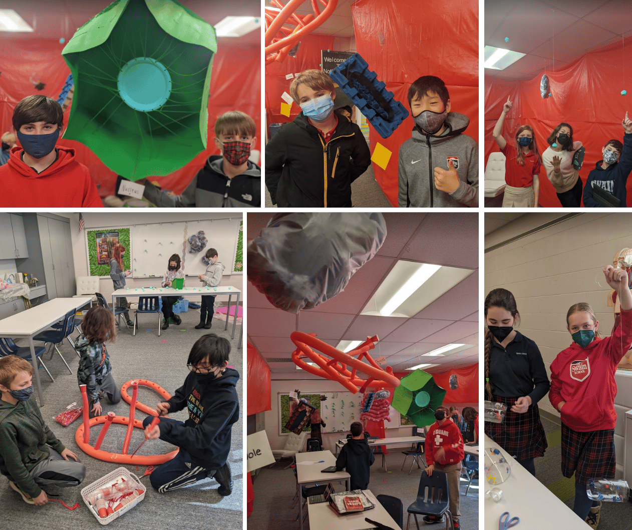 The 6th Grade Animal Cell Model Project