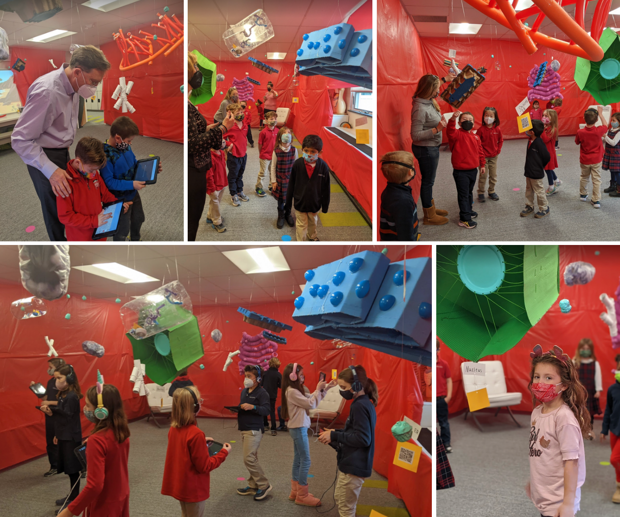 The 6th Grade Animal Cell Model Project