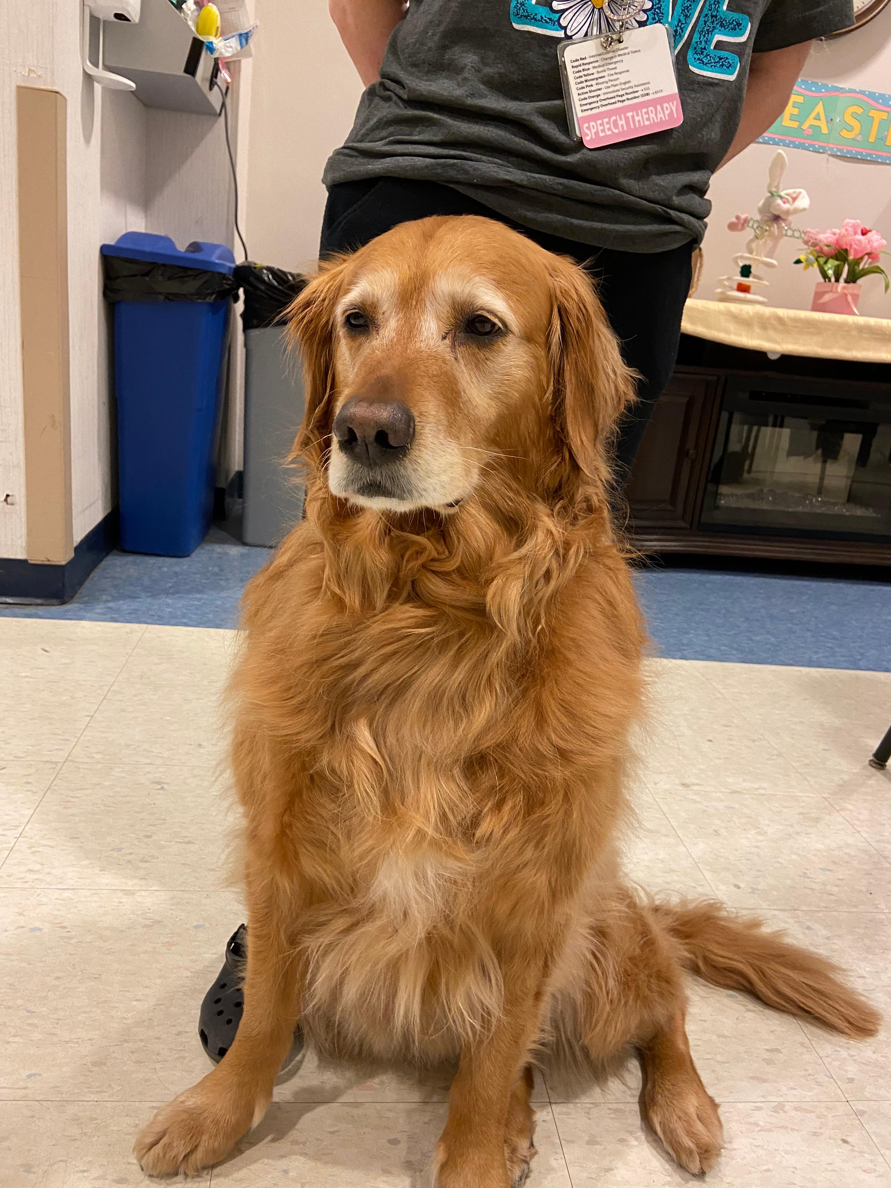Story Class Collaborates with Residents of Good Shepherd's Raker Center